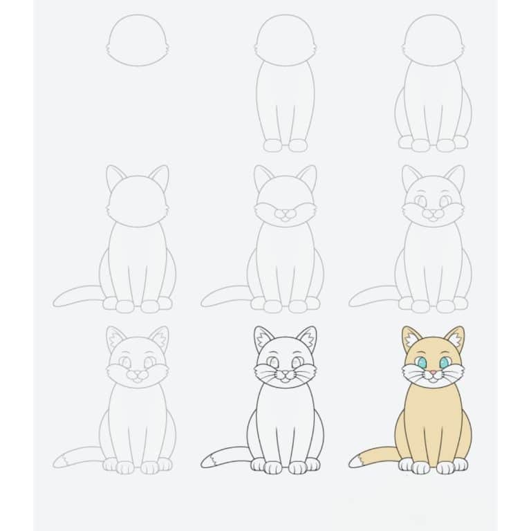 Kolay Kedi Çizimi Örnekleri Basit Kedi Çizimleri Rehberi Kolay Kedi Çizimi Örnekleri Basit Kedi Çizimleri Rehberi